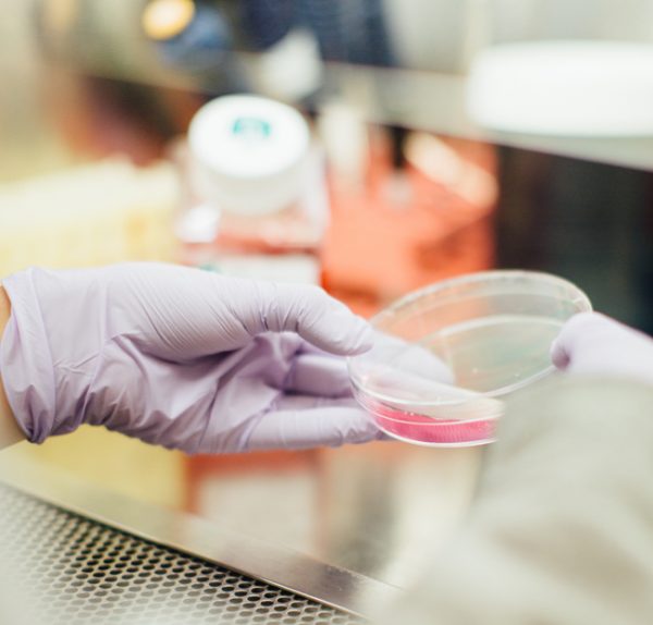 About us - TSS Safety