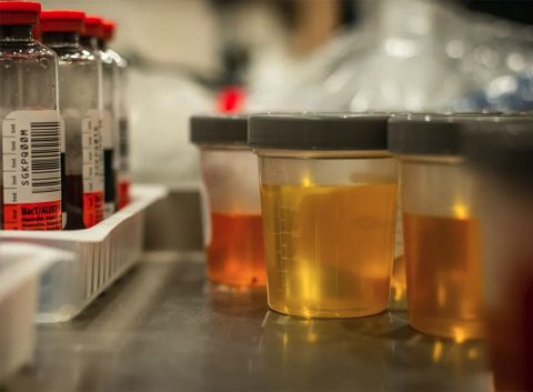 The DOT and YOU: 49 CFR Part 40 during COVID-19 - TSS Safety