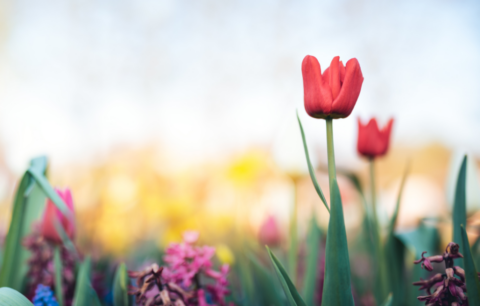 Spring has Sprung: TSS's safety recommendations for the season - TSS Safety